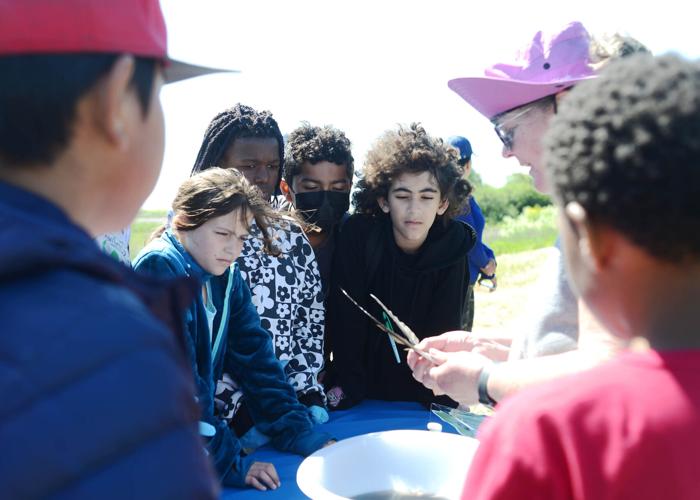 Cordelia fifth-graders venture into sights, sounds of Suisun Marsh ...