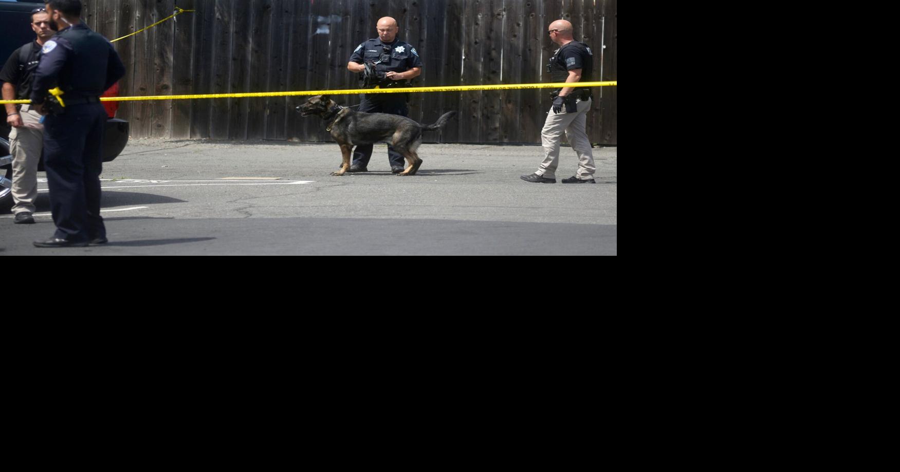 1 dead, 2 in custody after stabbing at Fairfield store | Crime-Courts ...