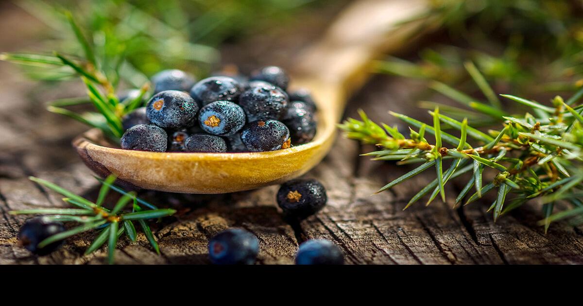 Mayo Clinic Minute: Does one moldy berry spoil the whole bunch? | Food ...