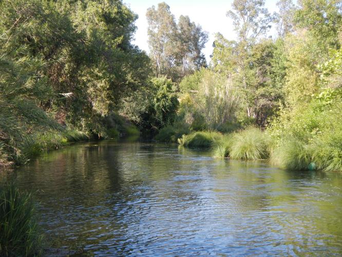 Group says SCWA turning Putah Creek into ‘flood plain desert’ | Benicia ...