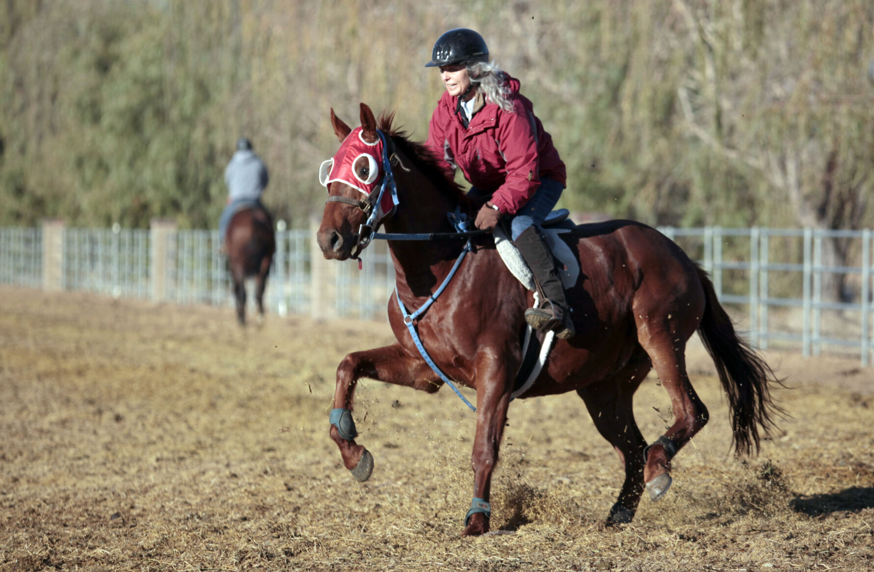 Photo: Horse trainer Ellen Jackson | News | dailyrepublic.com