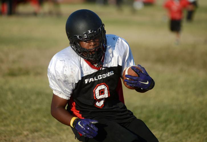 Falcons on the move to the Snoop League in youth football | Community ...