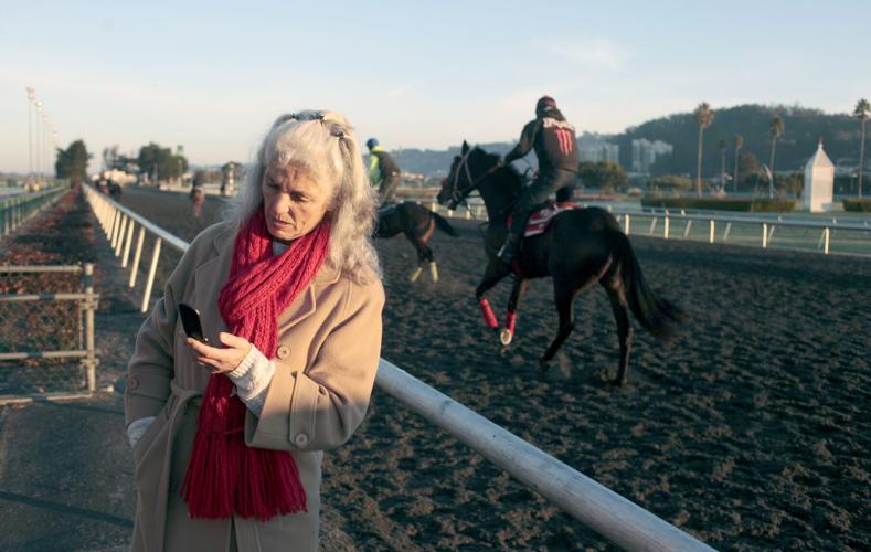 Photo: Horse trainer Ellen Jackson | News | dailyrepublic.com
