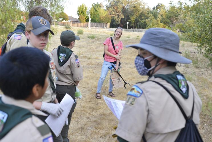 Scouts clean stretch of Laurel Creek, learn about beaver habitat ...