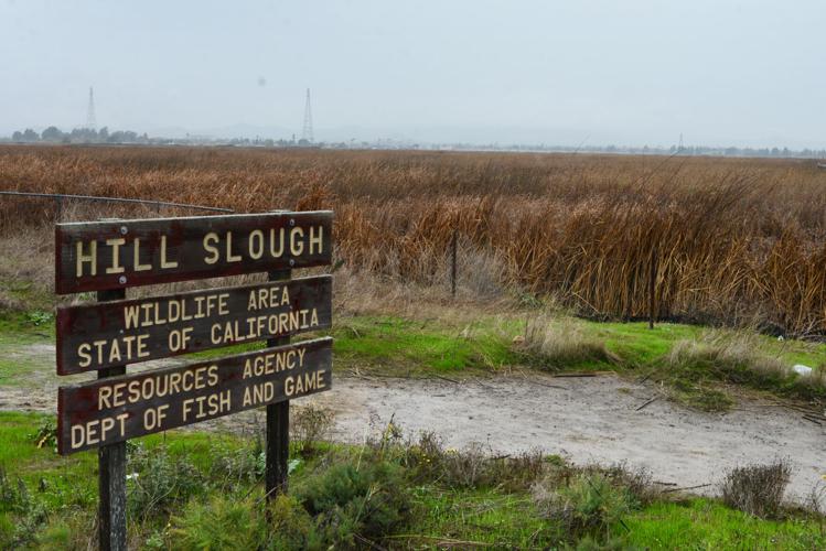 Solano Land Trust plans 2 outings open to community | Solano County ...