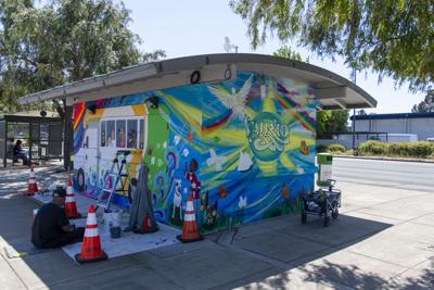 First phase of SolTrans beautification project done | News ...