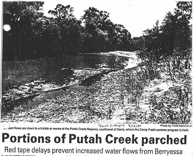 Photos: Putah Creek | News | dailyrepublic.com