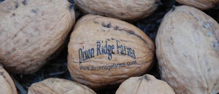 Solano Land Trust, state join Lester family to preserve Dixon Ridge ...