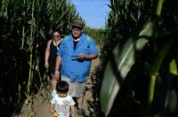 Dixon's famed pumpkin patch, maze getting national attention | News ...