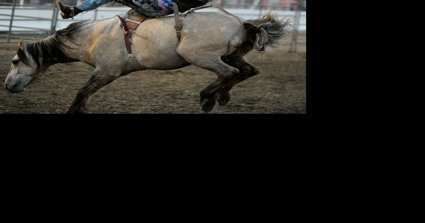 Solano cowboys have rough night at Dixon rodeo | Vacaville-Dixon ...