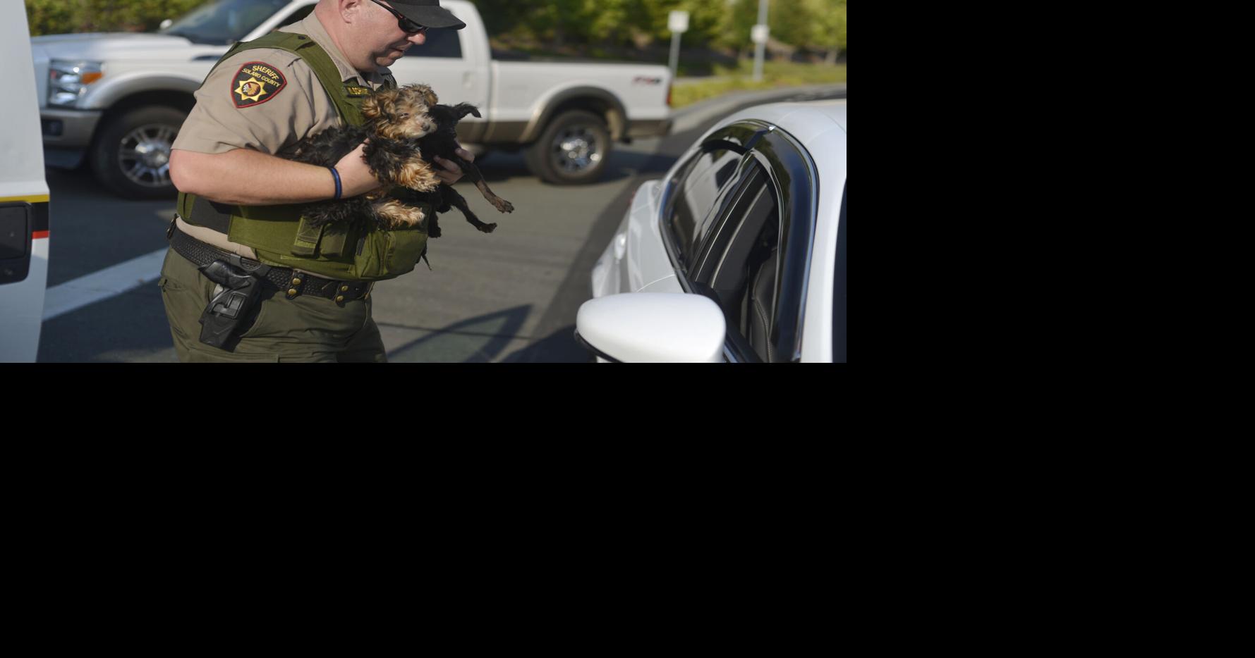 Fire prompts evacuation orders in Fairfield, Vacaville | Fairfield ...