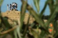 Dixon's famed pumpkin patch, maze getting national attention | News ...