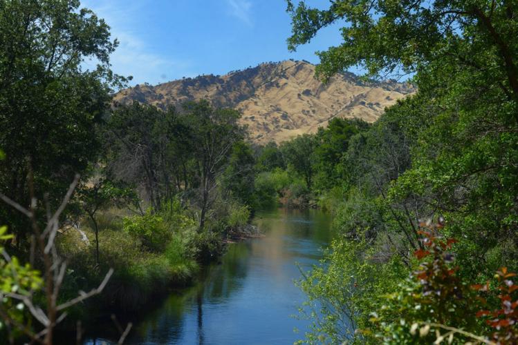 Putah Creek Accord, now 20, remains key to habitat restoration, water ...