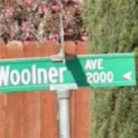 Back in the Day: Woolner Avenue: A tribute to storied local family ...