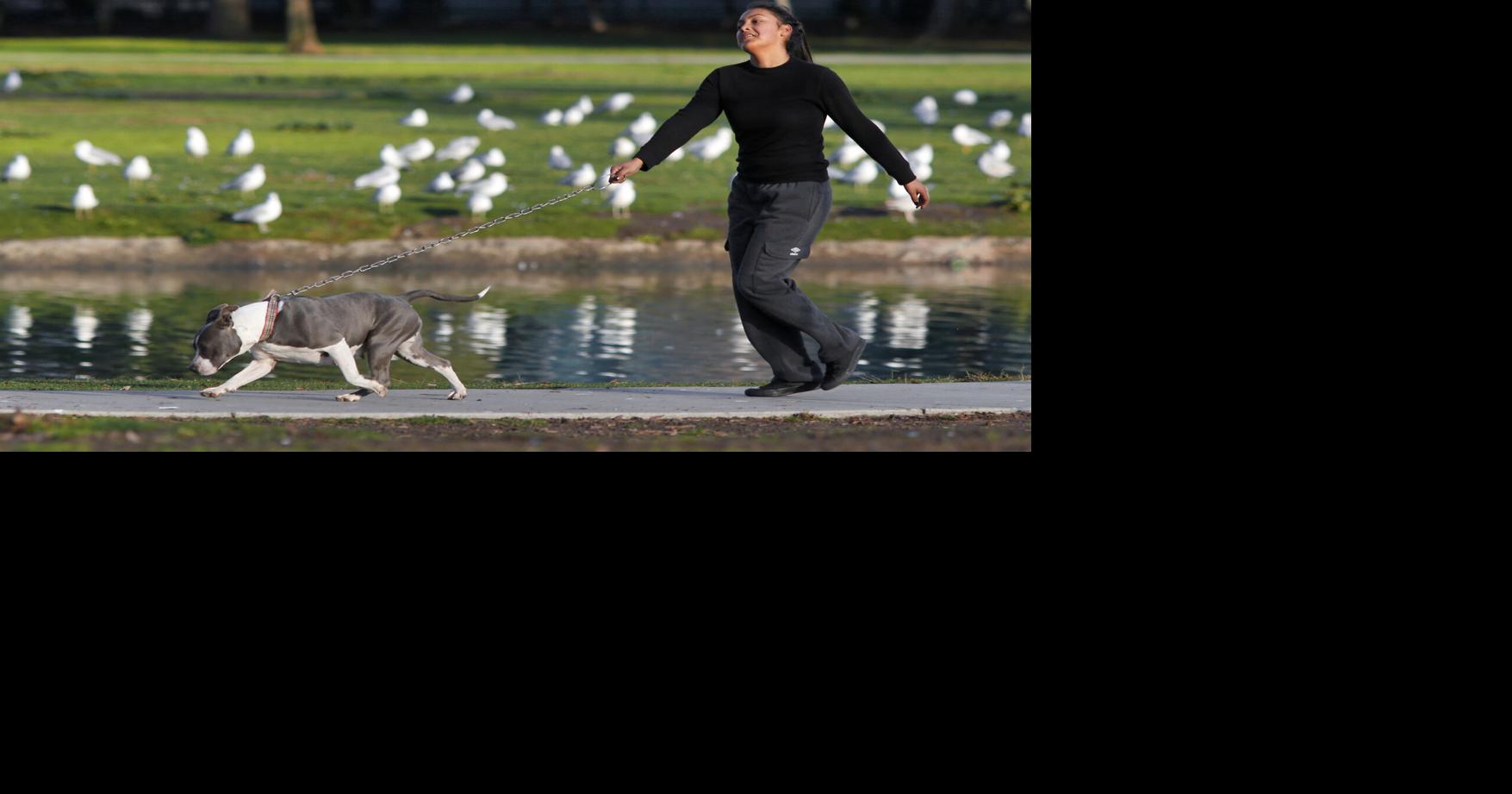 Dover Park playground area will be closed for a week in February | News ...