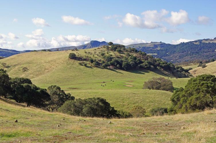 New name in Patwin language for Solano site honors land’s first ...