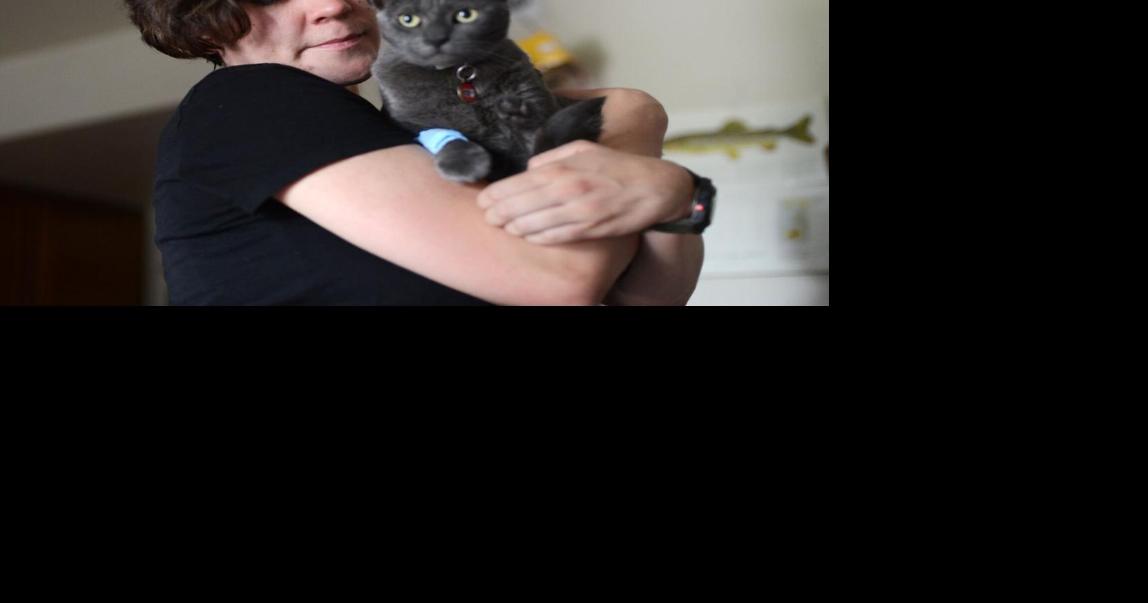 Photos: Alleged cat poisoning | News | dailyrepublic.com
