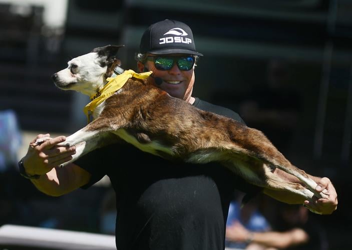 Dogs unleashed at Dixon May Fair as part of K9 Kings Flying Dog Show ...