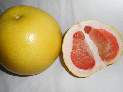 Pummelos: The ancestral citrus | Local Lifestyle Columns ...