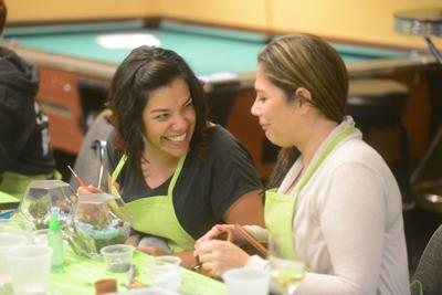 Tiny plants draw people for relaxing day | Solano County ...
