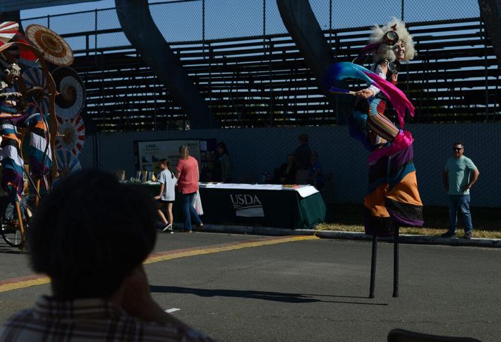 County Fair opens four-day run with salute to agriculture, fun for all ...