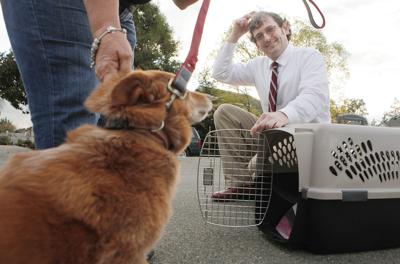 Pokey the dog heads back to Texas | Fairfield | dailyrepublic.com