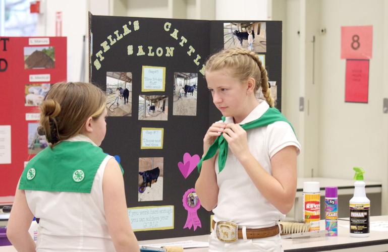 Presentation Day for Solano 4-H Clubs a fun, competitive day ...