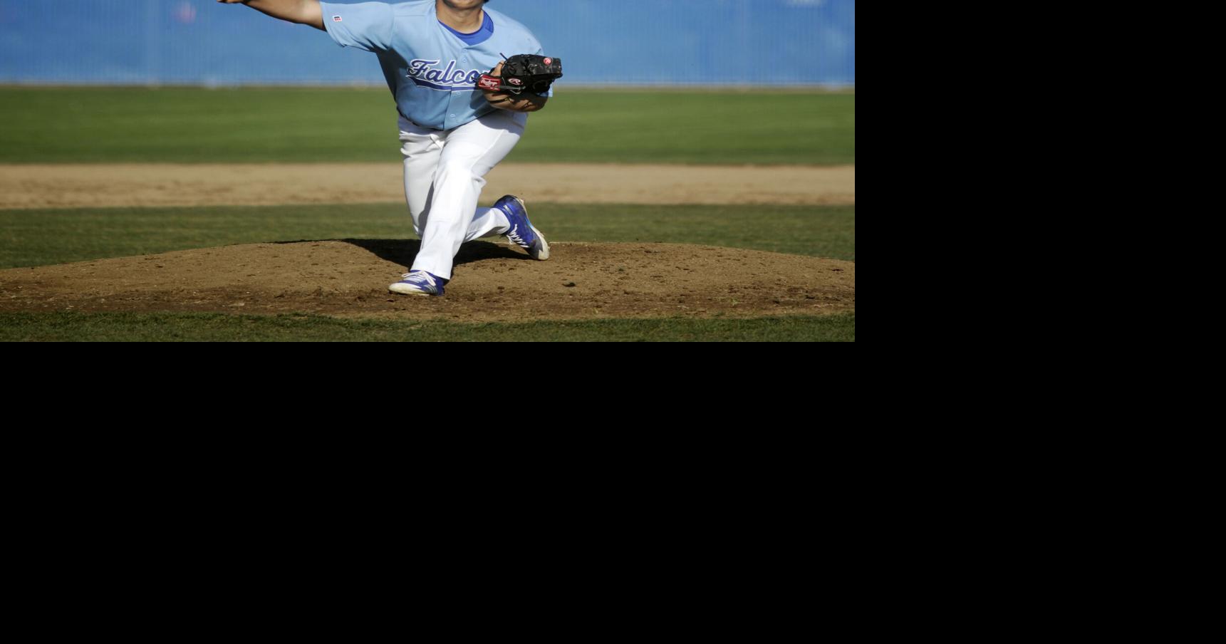 SCC baseball preview: Falcons have experience, youth as 2018 season ...