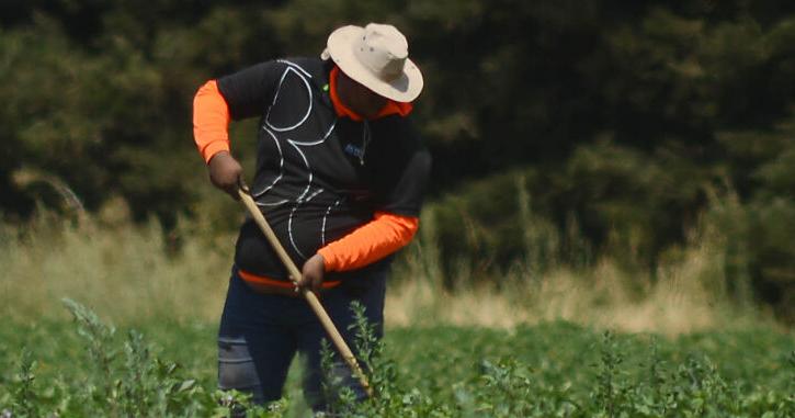 Solano County presses for Newsom's signature on Wilson farming bill ...
