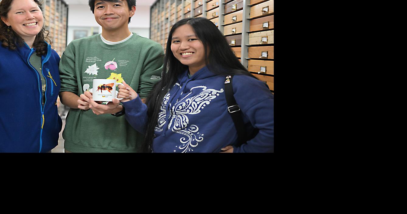 Bumble Bee contest winners were looking for monarchs | Biology ...