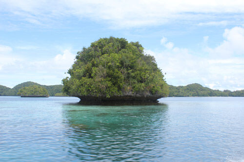 Palau, a heavenly place on Earth | Lifestyle | dailyrepublic.com