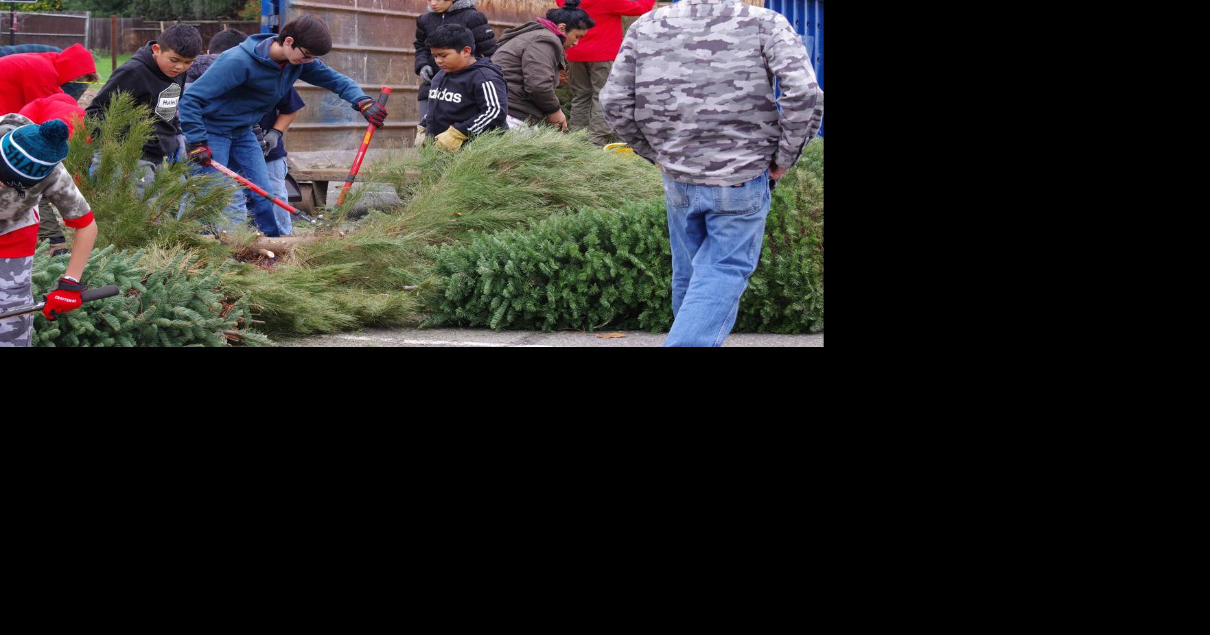 Fairfield Scouts trim trees for fun fundraiser | Fairfield ...