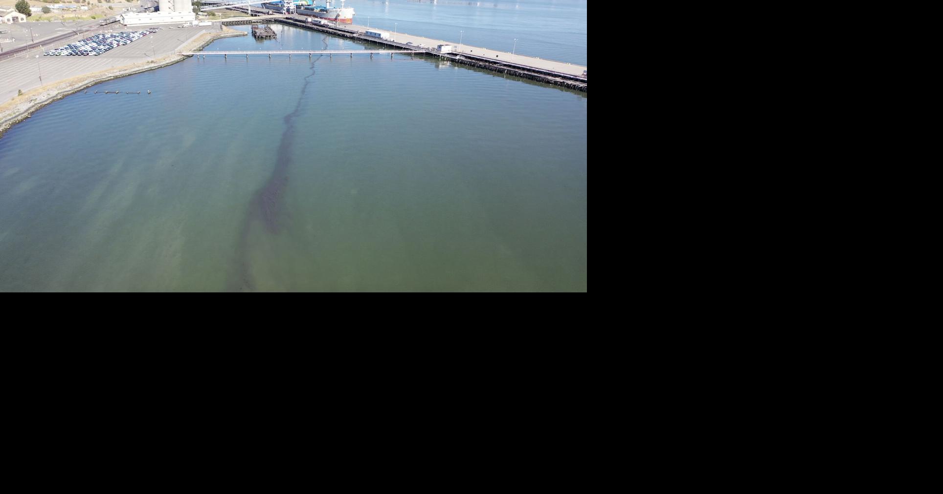 Baykeeper wins suit against Valero, Port of Benicia company | News ...