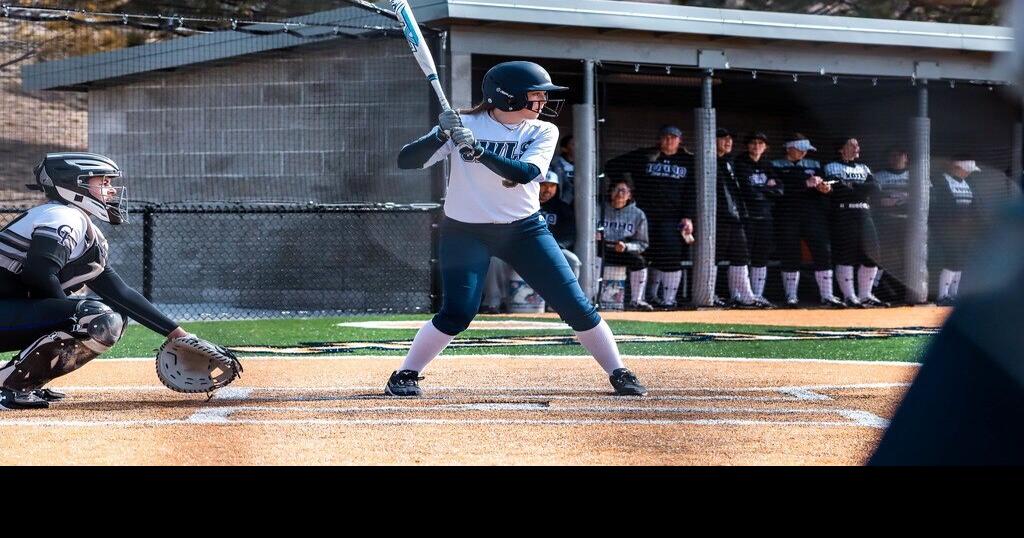 College notebook: Vanden grad Krista Ward bats, pitches her way to CCC ...