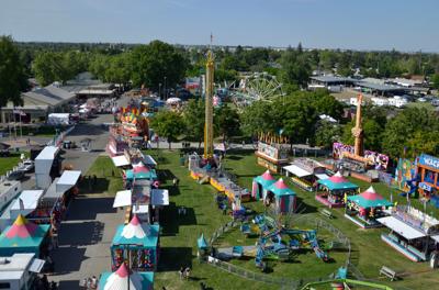 2021 Dixon May Fair competitive exhibits go virtual | Solano County ...