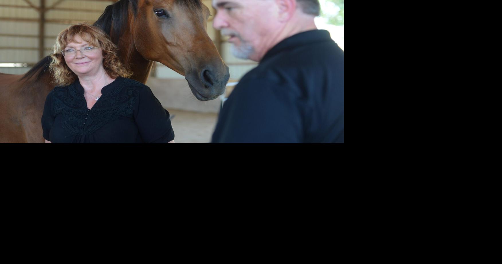 Freedom Equine Connection partners with Seen Through Horses Campaign ...