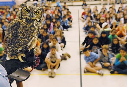 Change drive brings critter show to Nelda Mundy | Education ...