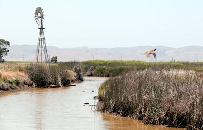 marsh space projects