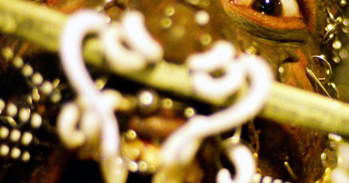 marcus boykin creature