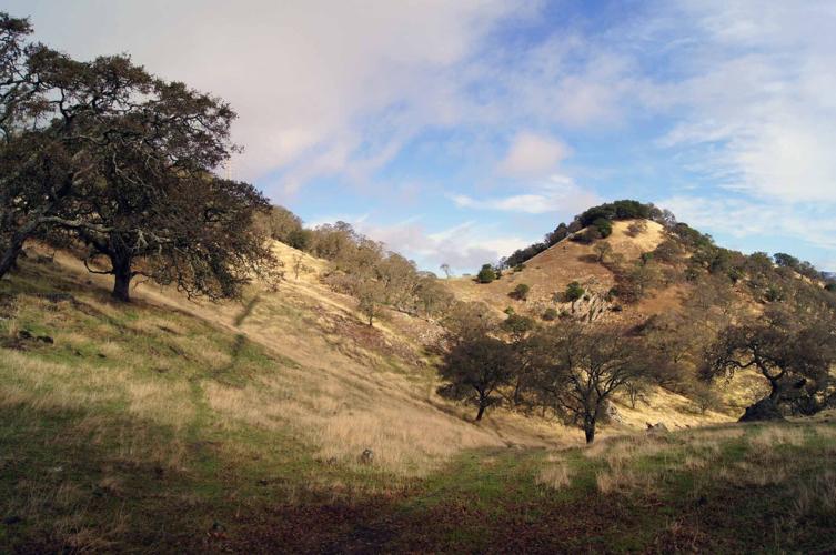 New name in Patwin language for Solano site honors land’s first ...