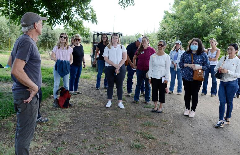 Land use decisions key to agriculture growth, survival in Solano County ...