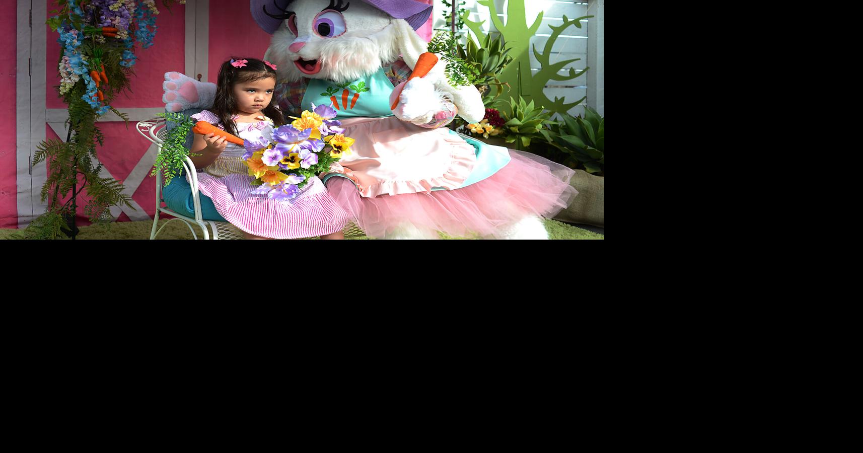 Bunny cousins Benny and Bonnie take over Gingy House for spring ...