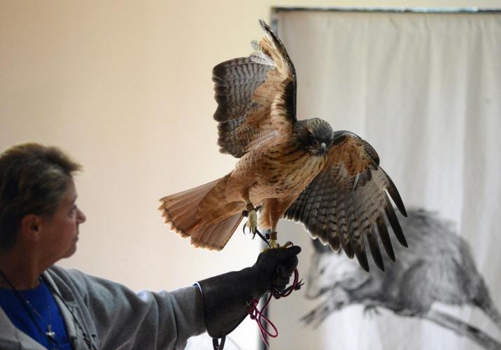 Photos: Suisun Wildlife Center 40th anniversary celebration | News ...