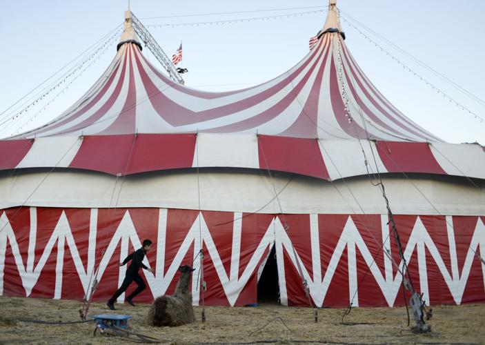 Photos: Ramos Circus in Suisun City | News | dailyrepublic.com