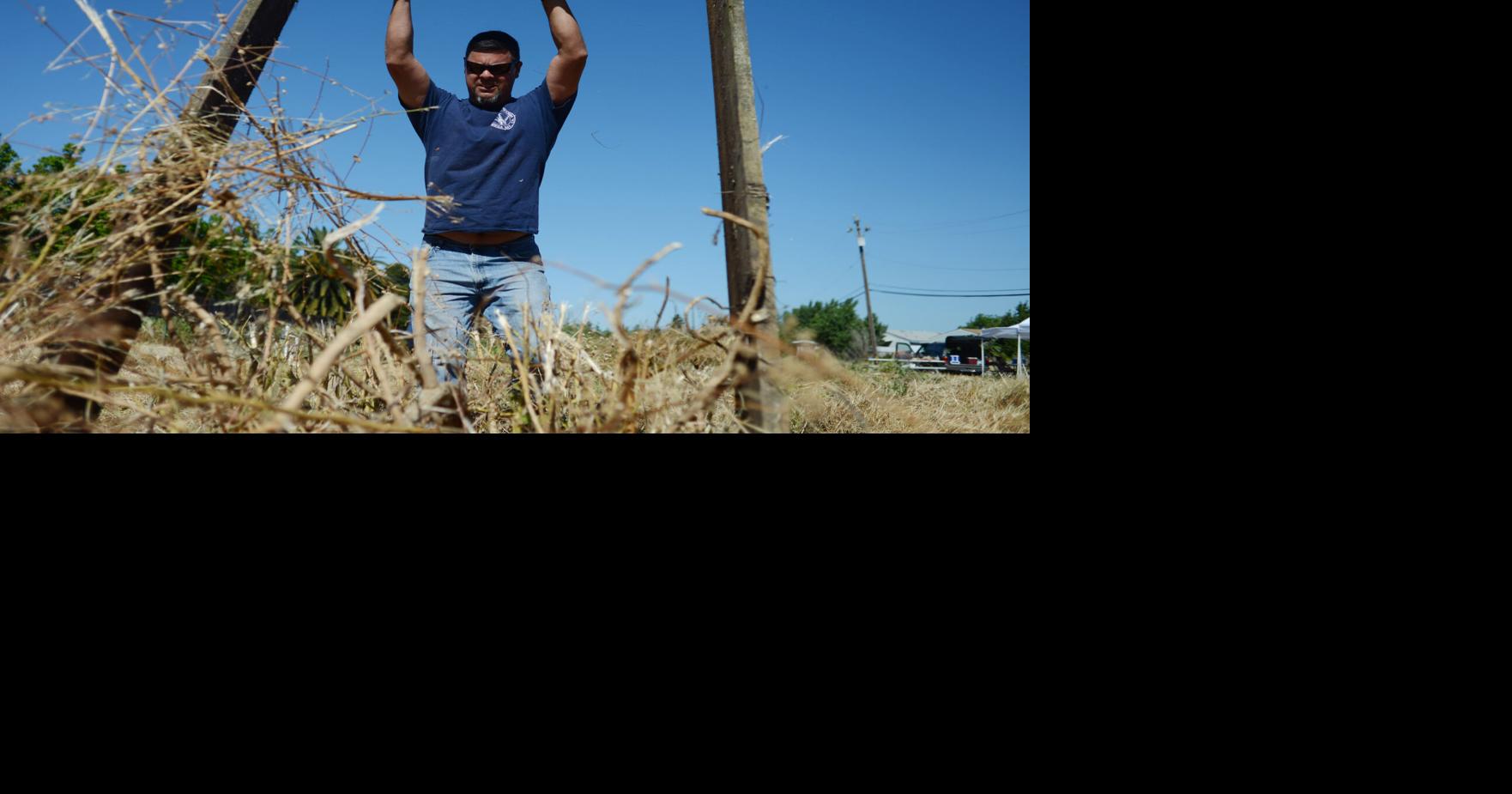 Suisun City’s community garden open to the public | Solano County ...