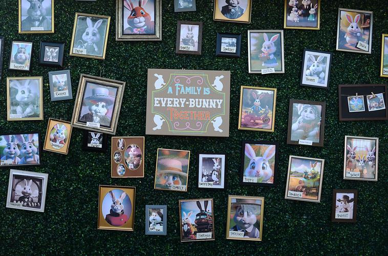 Bunny cousins Benny and Bonnie take over Gingy House for spring ...