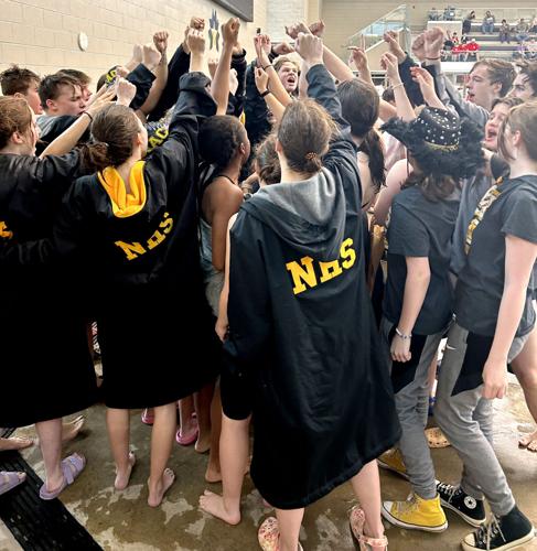 Nac swim team set to compete in regionals over weekend | Sports ...