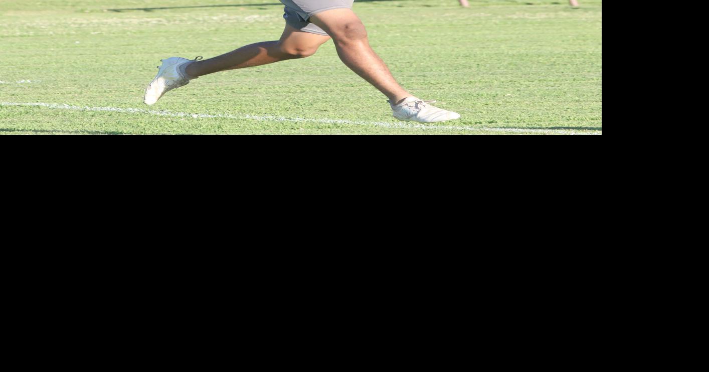 Bulldogs putting in summer work under new coach Alvarez | Sports ...