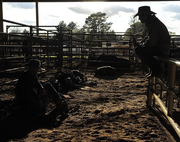 Chireno students take top prizes at steer show | Local News ...
