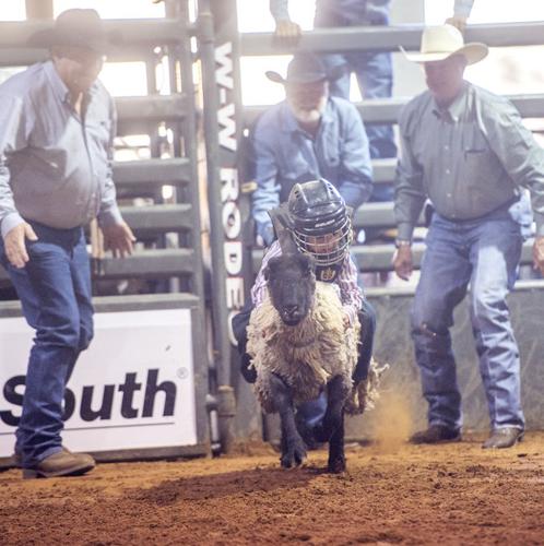 Garrison sixth-grader’s steer takes top prize | Local News ...